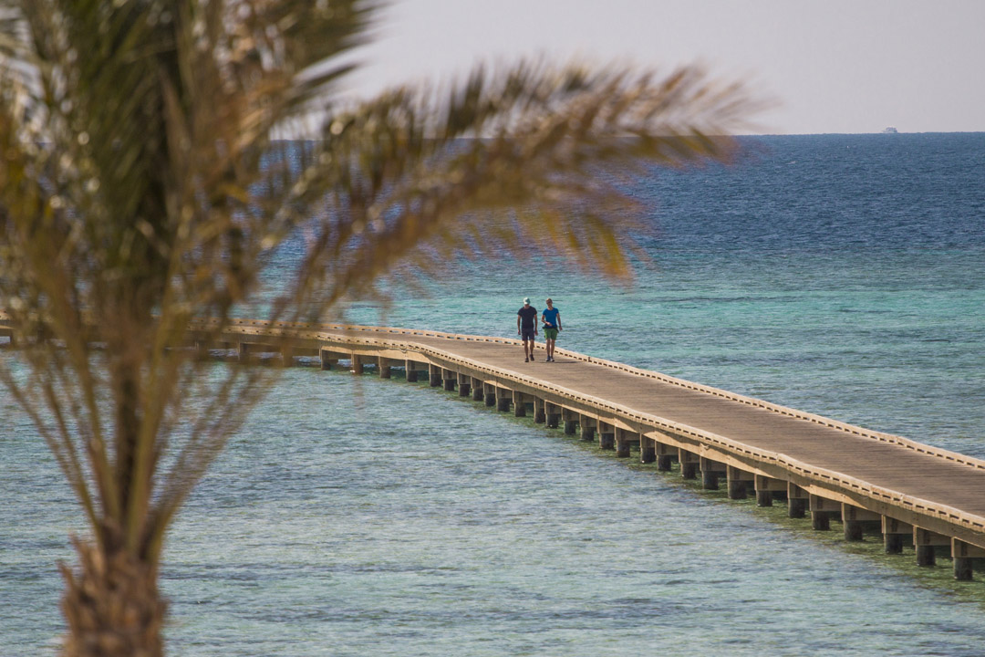 Jetty | Somabay