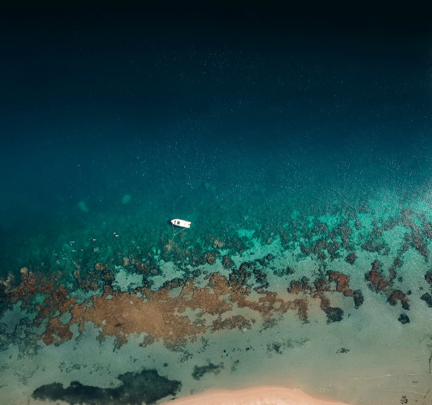 Arc of Soma | Somabay